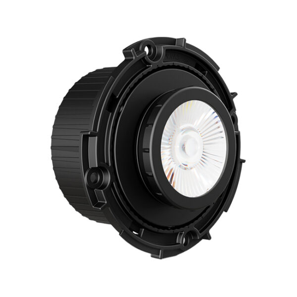 Warm Dim - DMF Lighting